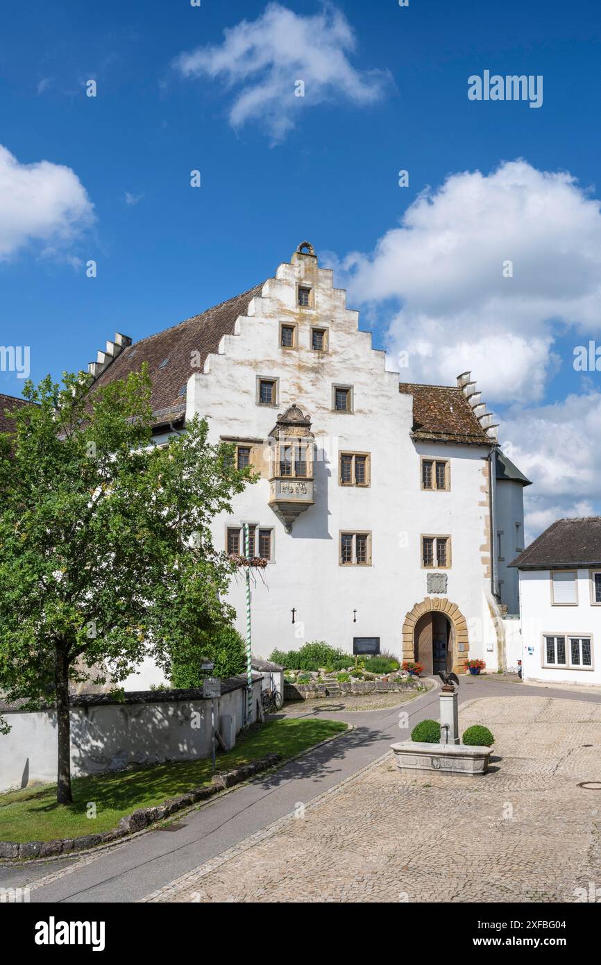 Flower field Castle in Hegau, Tengen, district of Constance, Baden ...