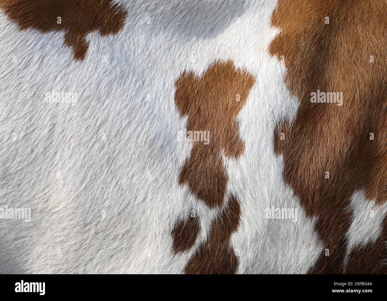 Farming husbandry structure hi-res stock photography and images - Alamy