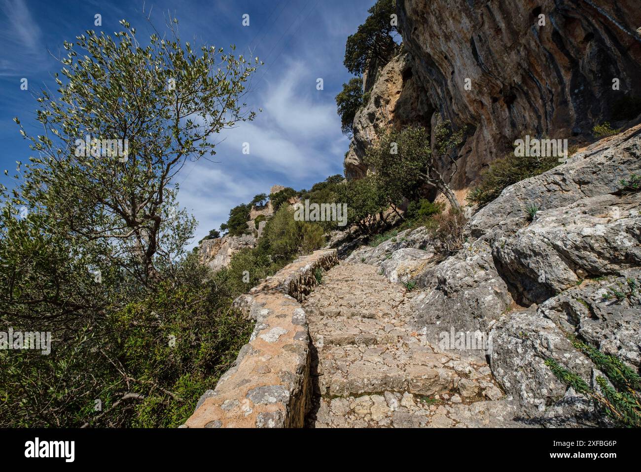 Cobbled path to the castle of Alaro, Alaro, Mallorca, Balearic Islands ...