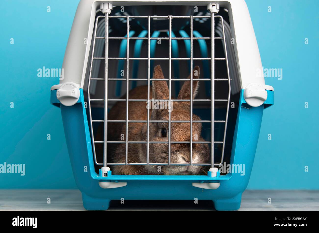 Animal transport cage hi-res stock photography and images - Alamy
