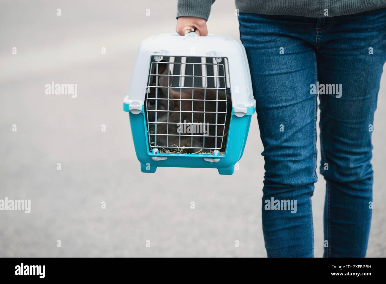 Rabbit in a transport box, pet locked in a cage, taking care of ...