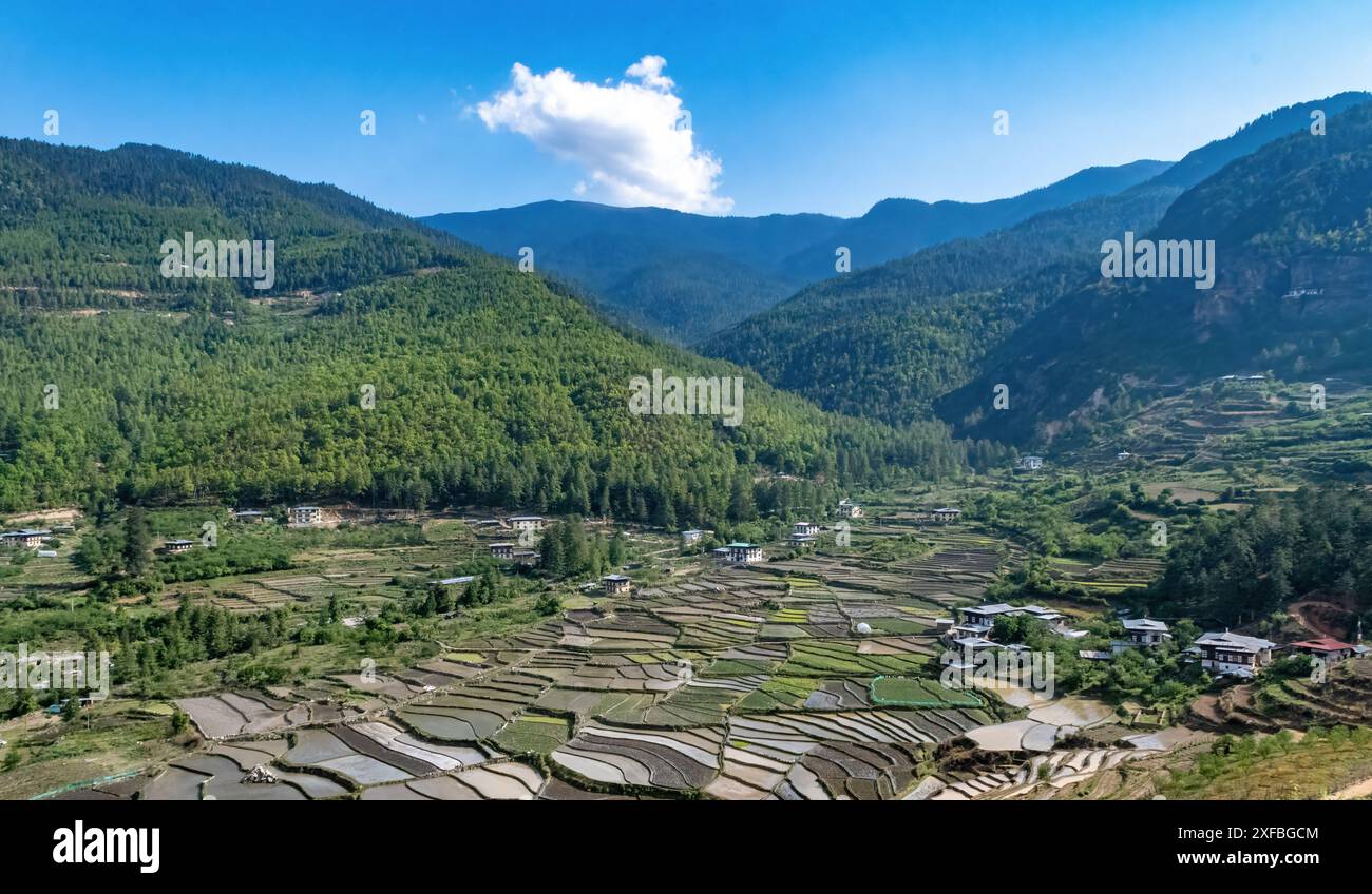 A beautiful village with paddy field in Bhutan Stock Photo - Alamy