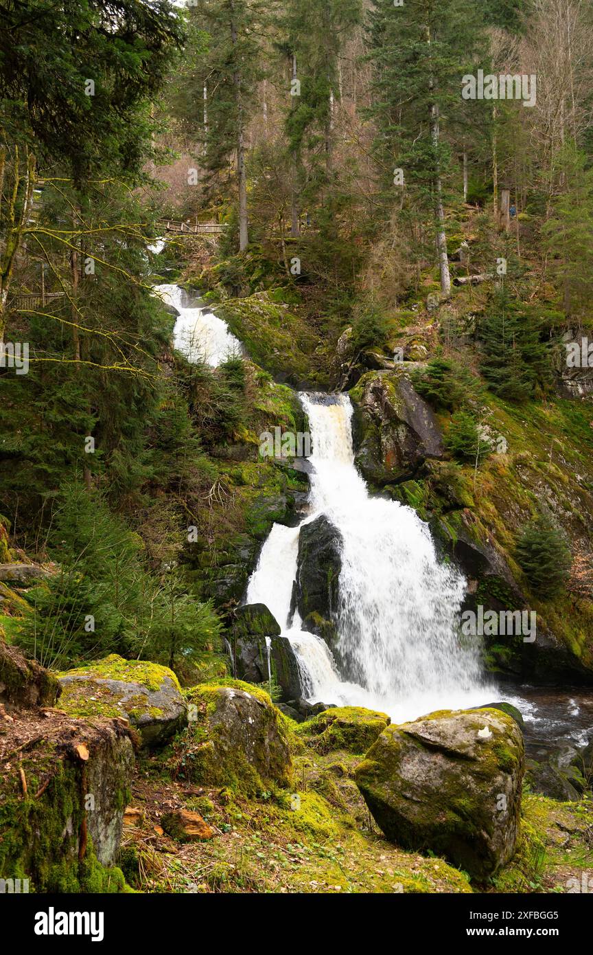 Triberg waterfall in the Black Forest, highest fall in Germany, Gutach ...