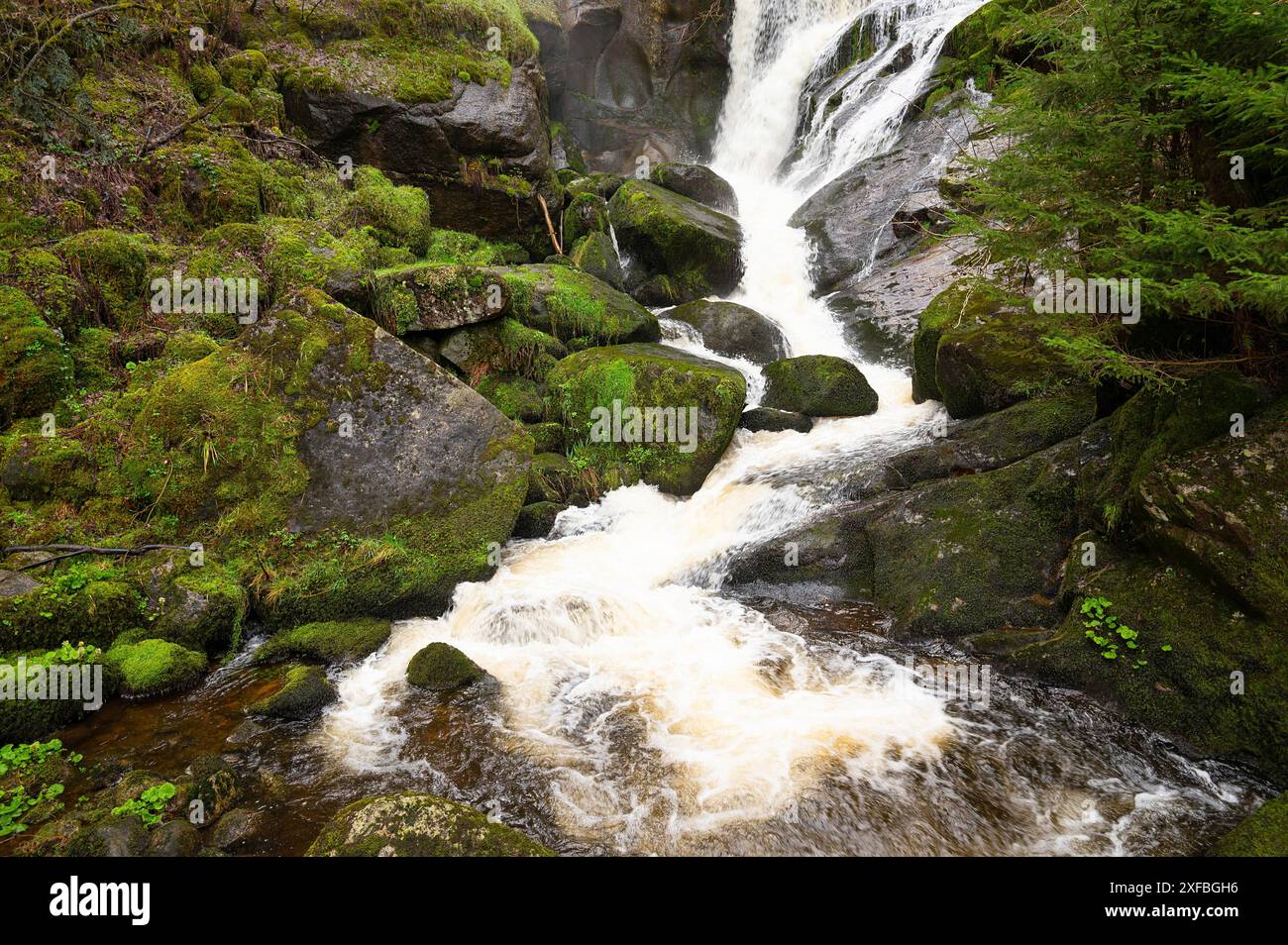 Triberg waterfall in the Black Forest, highest fall in Germany, Gutach ...