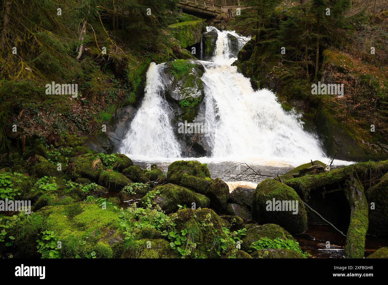 Triberg waterfall in the Black Forest, highest fall in Germany, Gutach ...