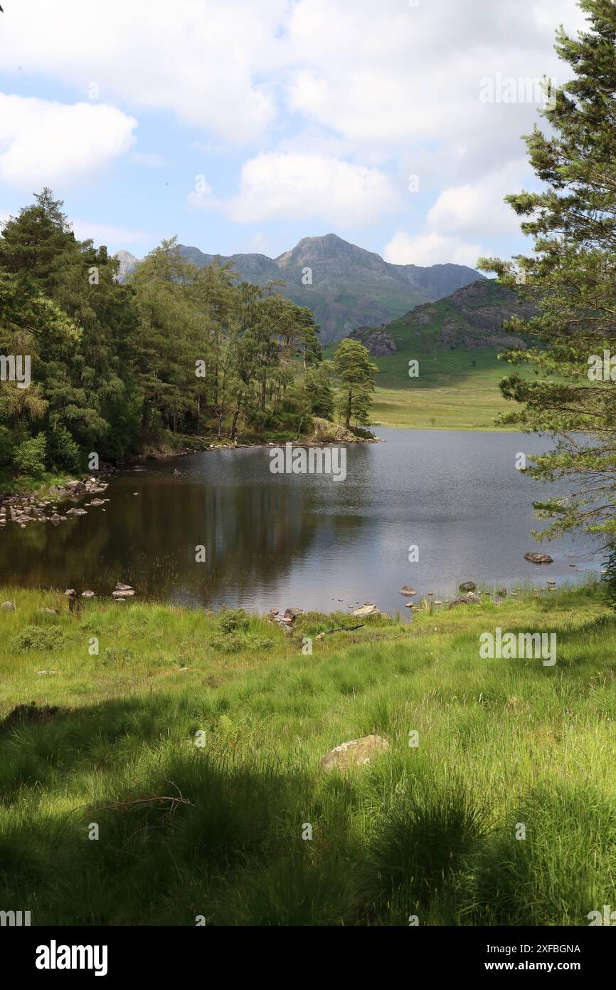 Blea tarn in the lake district hi-res stock photography and images - Alamy