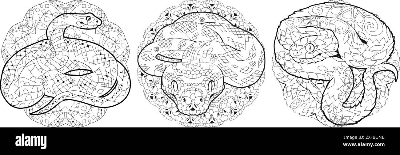 Hand drawn zentangle snakes for coloring pages, for t-shirt and other ...