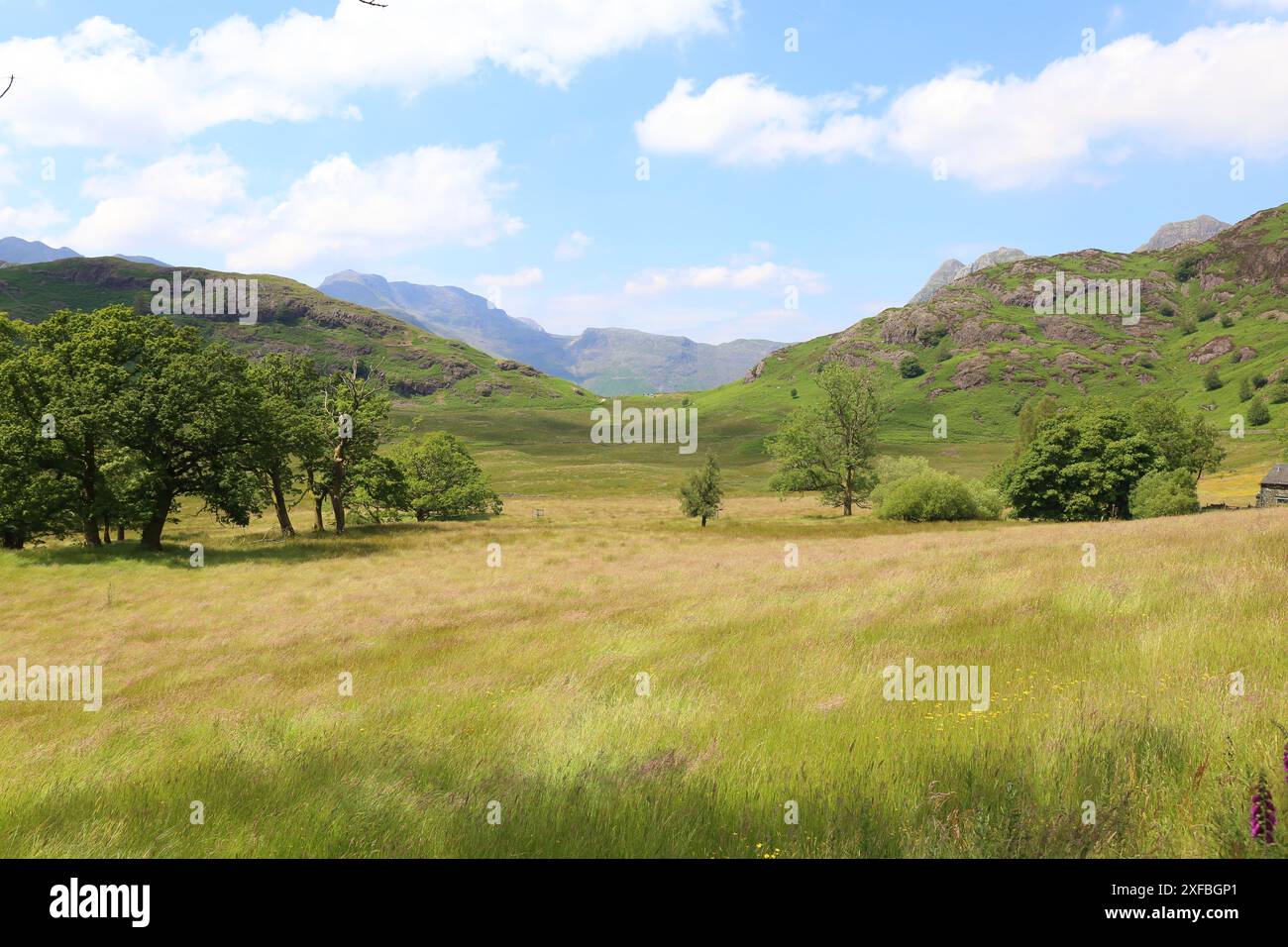 Mountain Valley near Blea Tarn in the beautiful English Lake District ...
