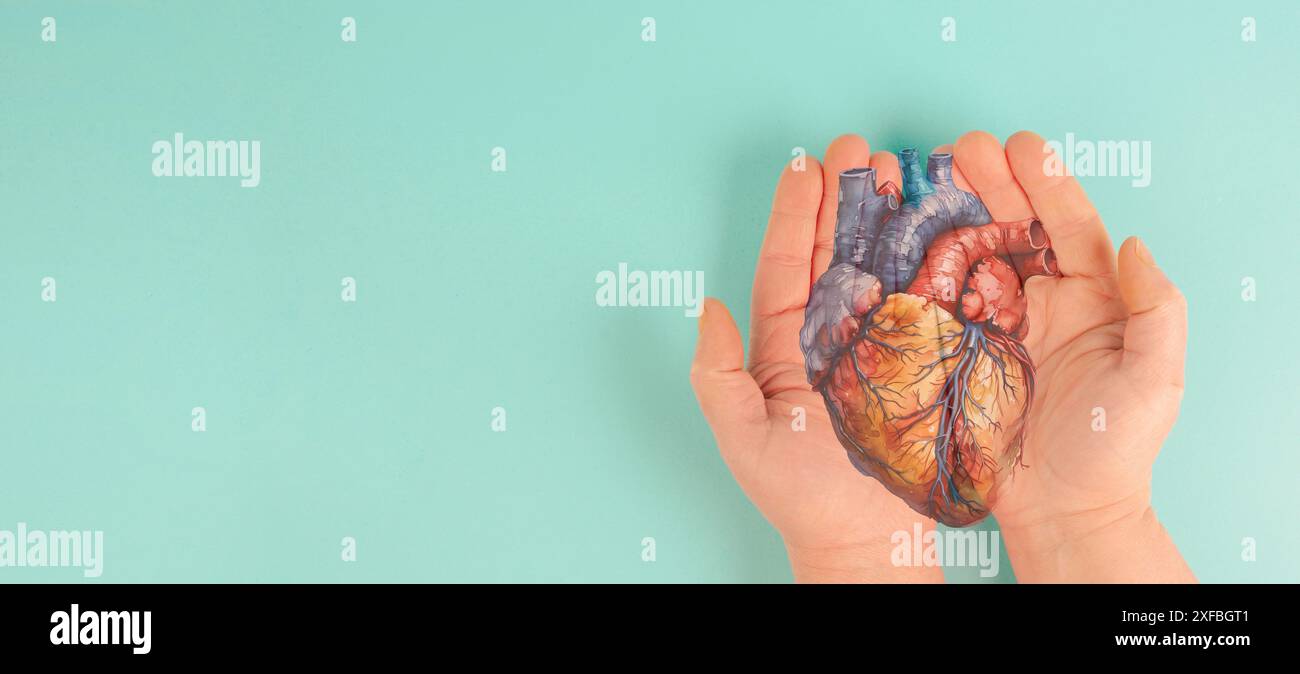 Heart attack, Myocarditis disease, inflammation of the muscle ...