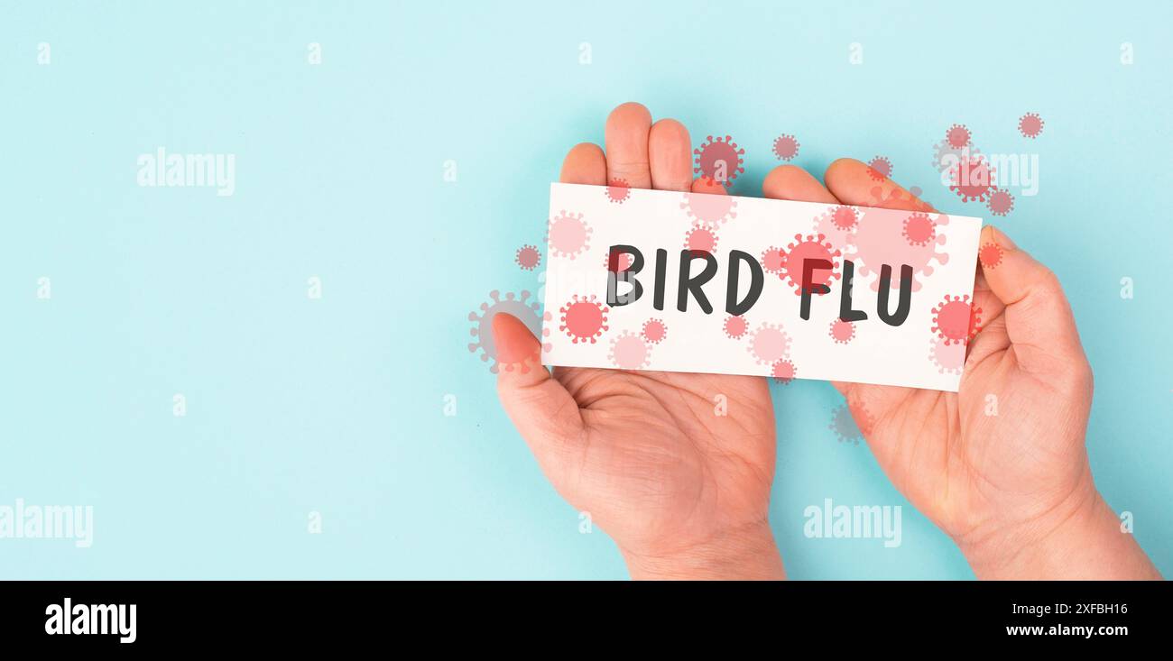 Bird flu virus outbreak, Avian influenza, infectious disease spreading ...