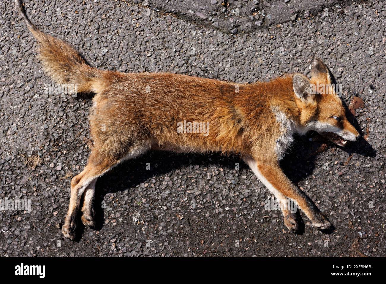 7th may 2024 hi-res stock photography and images - Alamy