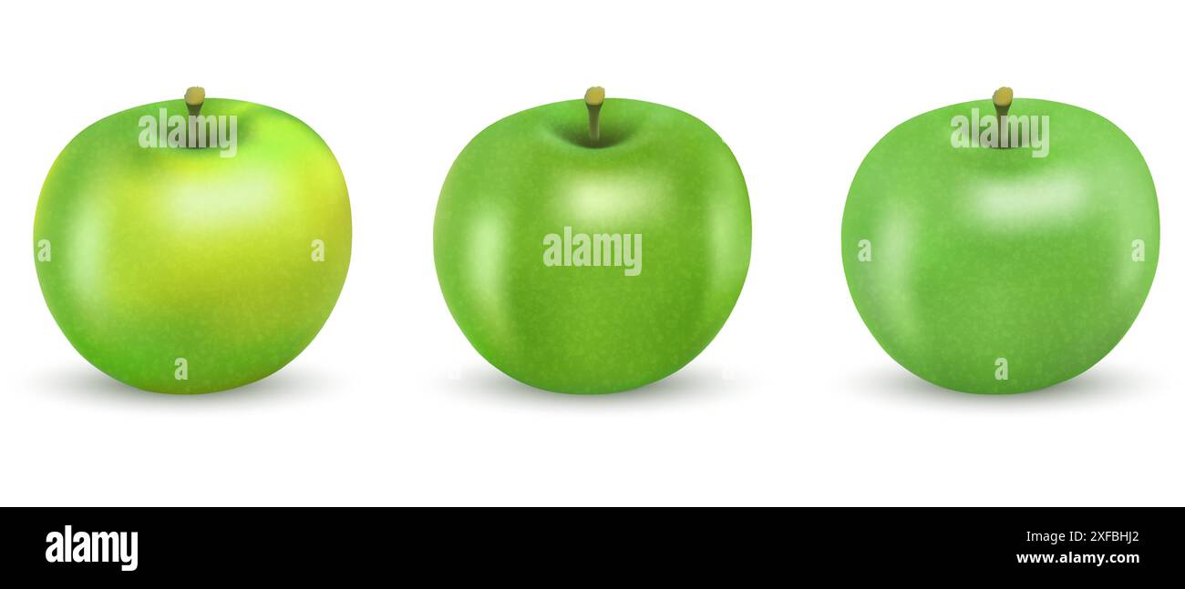 Vector drawing of set realistic green apples Stock Vector Image & Art ...
