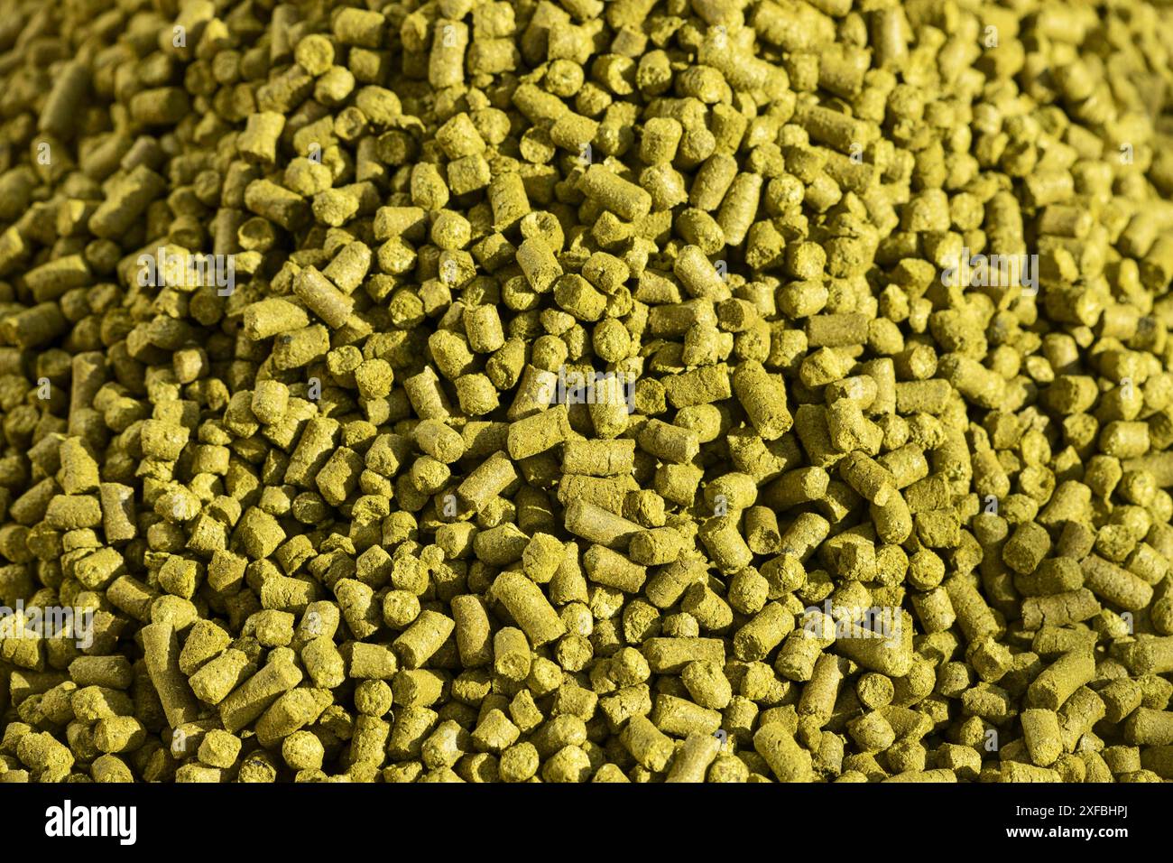 Overview of fresh hop pellets Stock Photo - Alamy