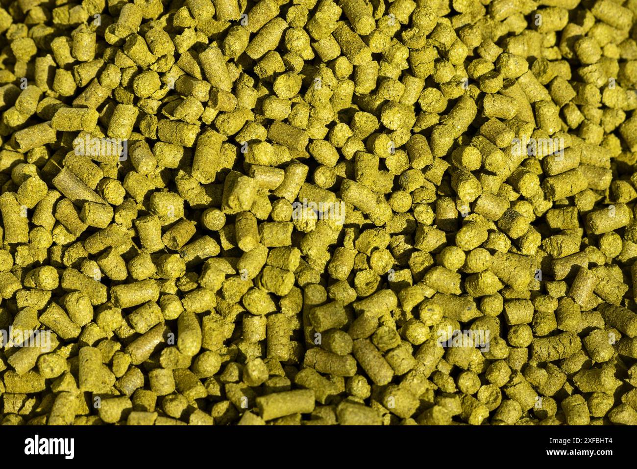 Hop pellets at a glance Stock Photo - Alamy