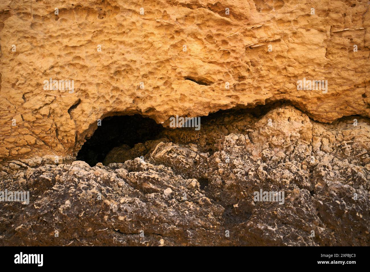 Shell limestone, fossilised shells on the beach, Praia da Dona Ana ...