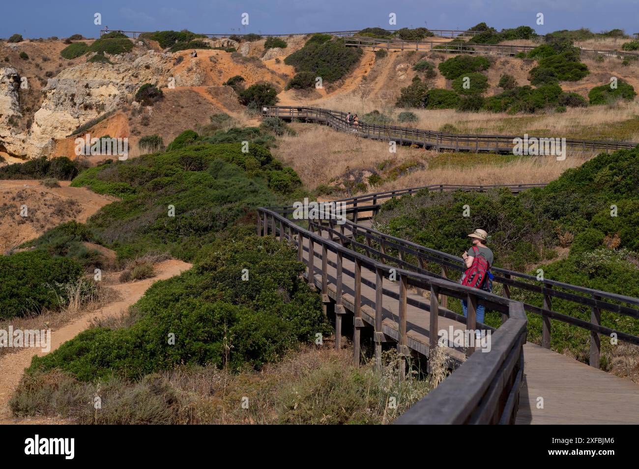 Woman on boardwalk, coastal hiking trail, wooden boardwalk, boardwalk ...