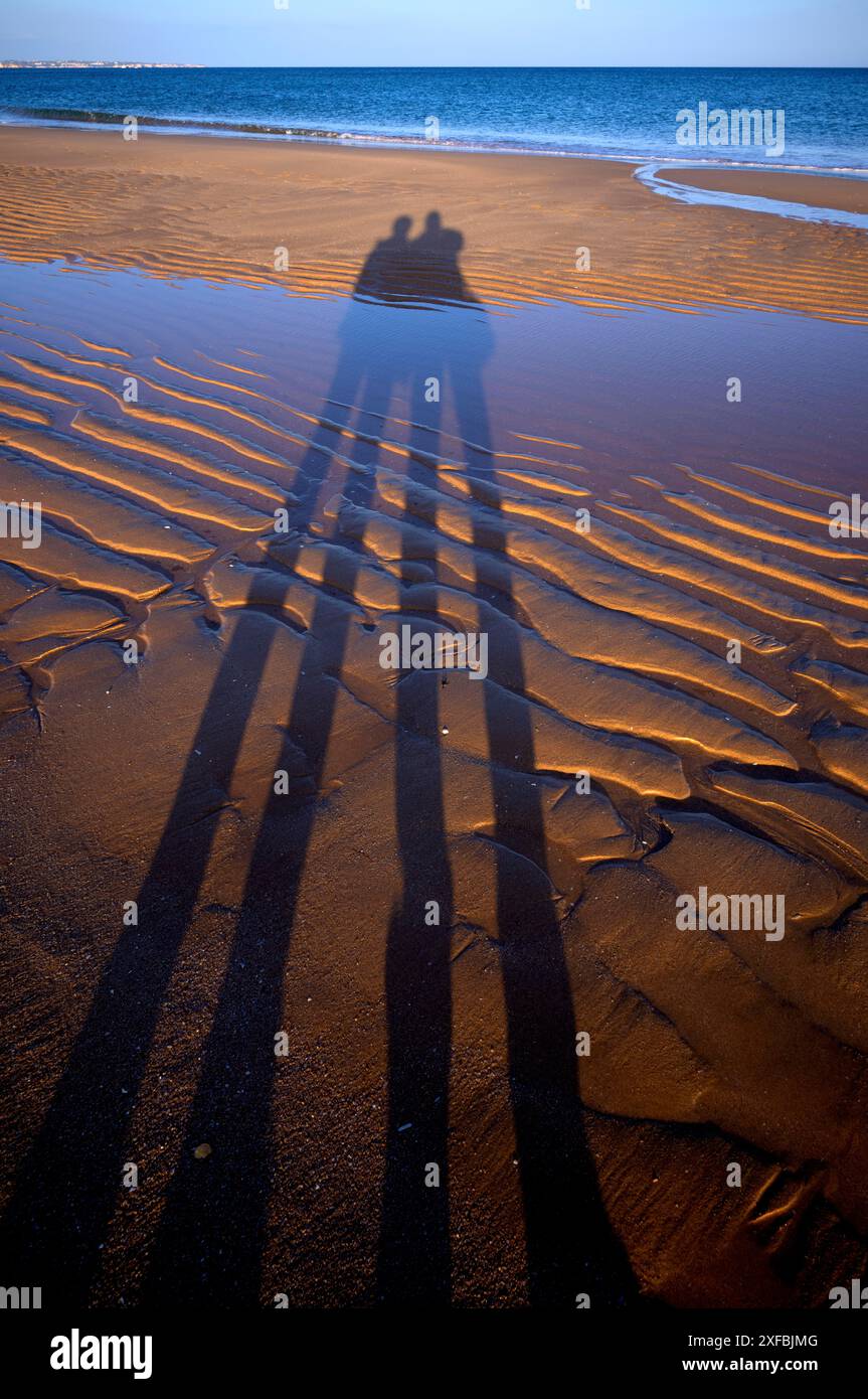 Long shadows of two people, couple, sand ripples, wavy lines in the ...