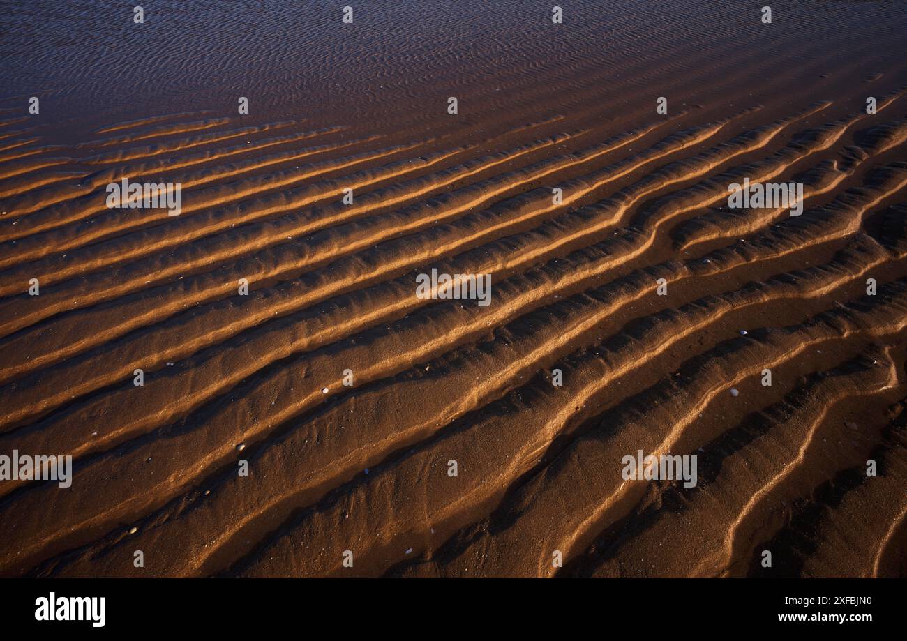 Sand ripples, wavy lines in the sand, structure, sandy beach, Meia ...