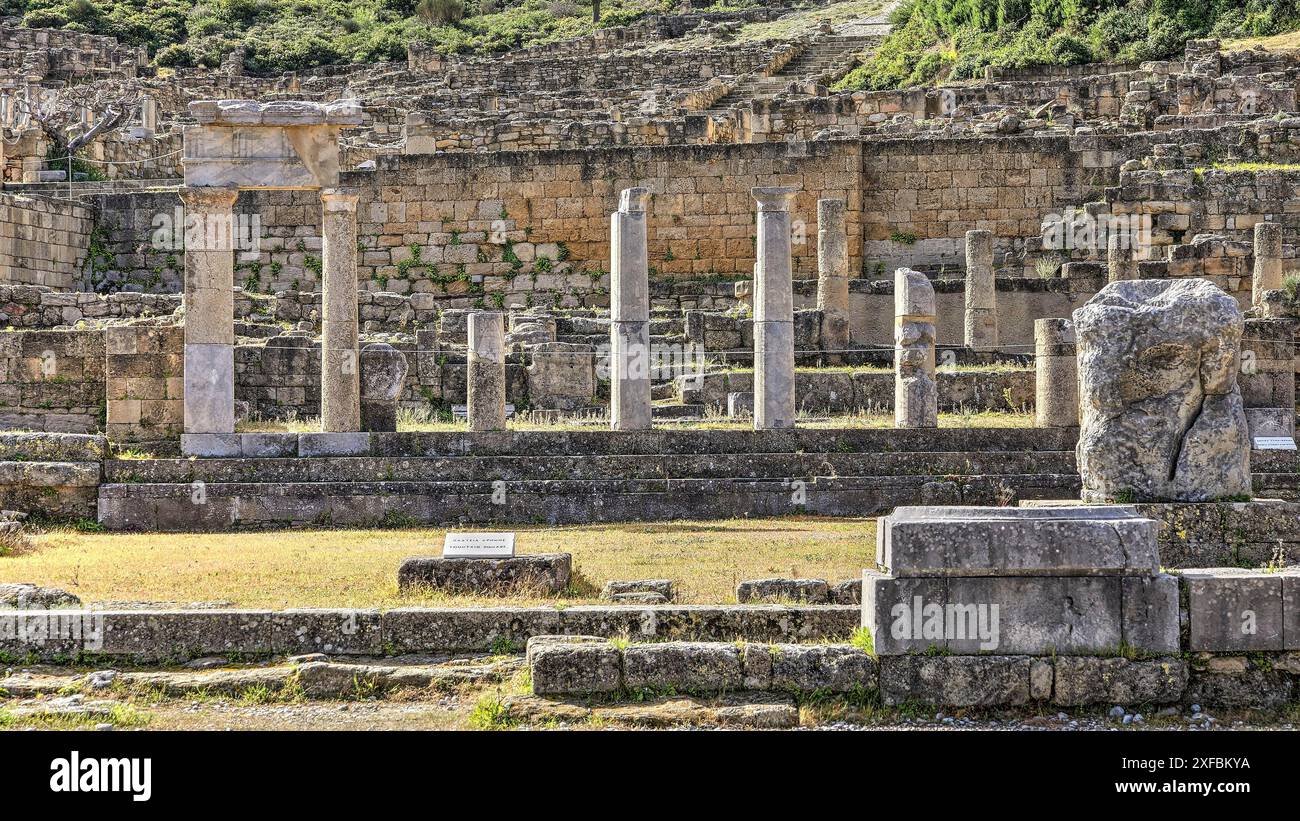 Ancient columns and ruins of a historical site surrounded by vegetation ...