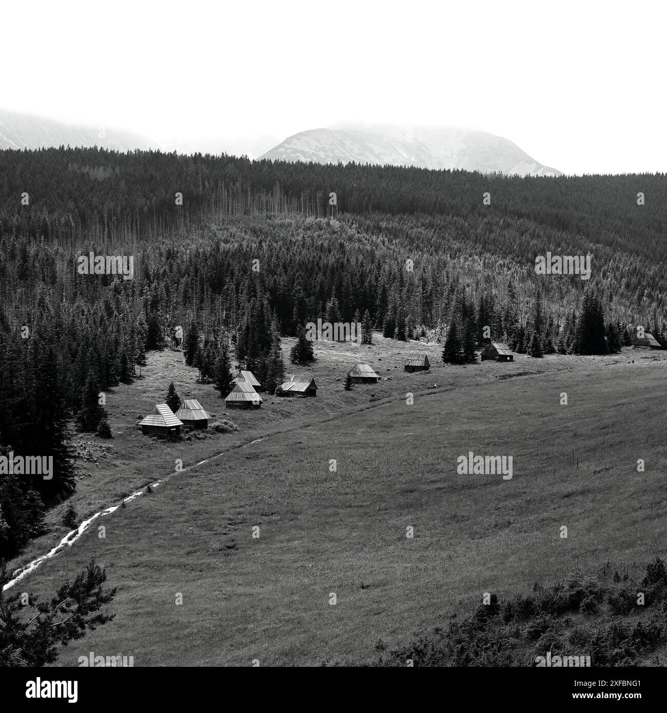 A mountain clearing with shepherd's huts seen from a hill Stock Photo ...