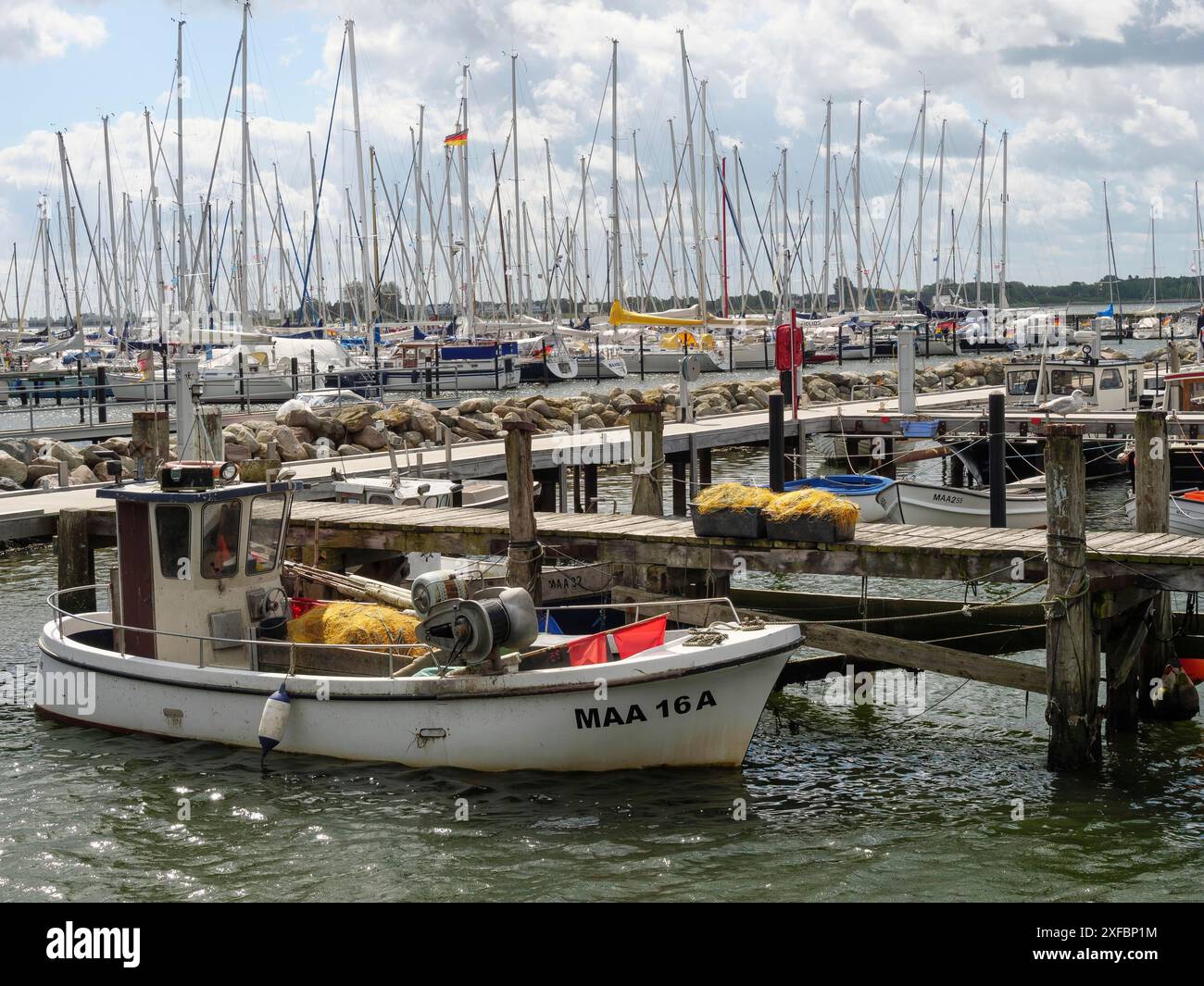 A busy harbour with many sailing boats, their masts rising into the ...
