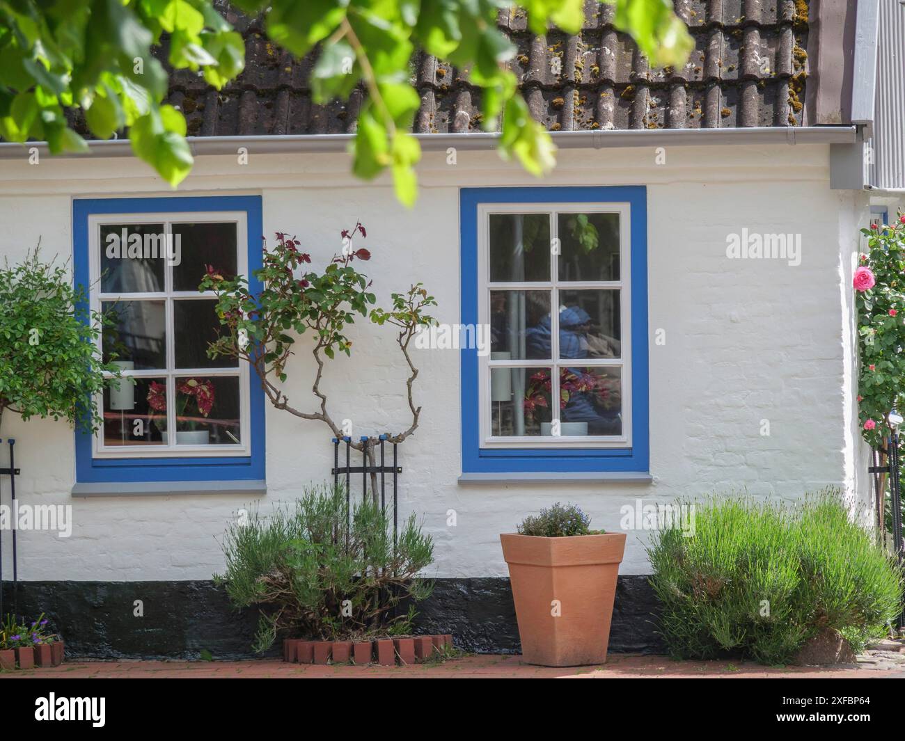 Blue window frames hi-res stock photography and images - Alamy
