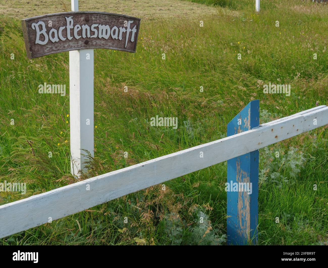 A signpost with the inscription 'Backenswarft' stands in a green and ...