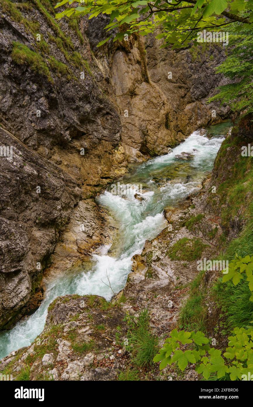 Fast-flowing river with rapids in a narrow gorge, surrounded by steep ...