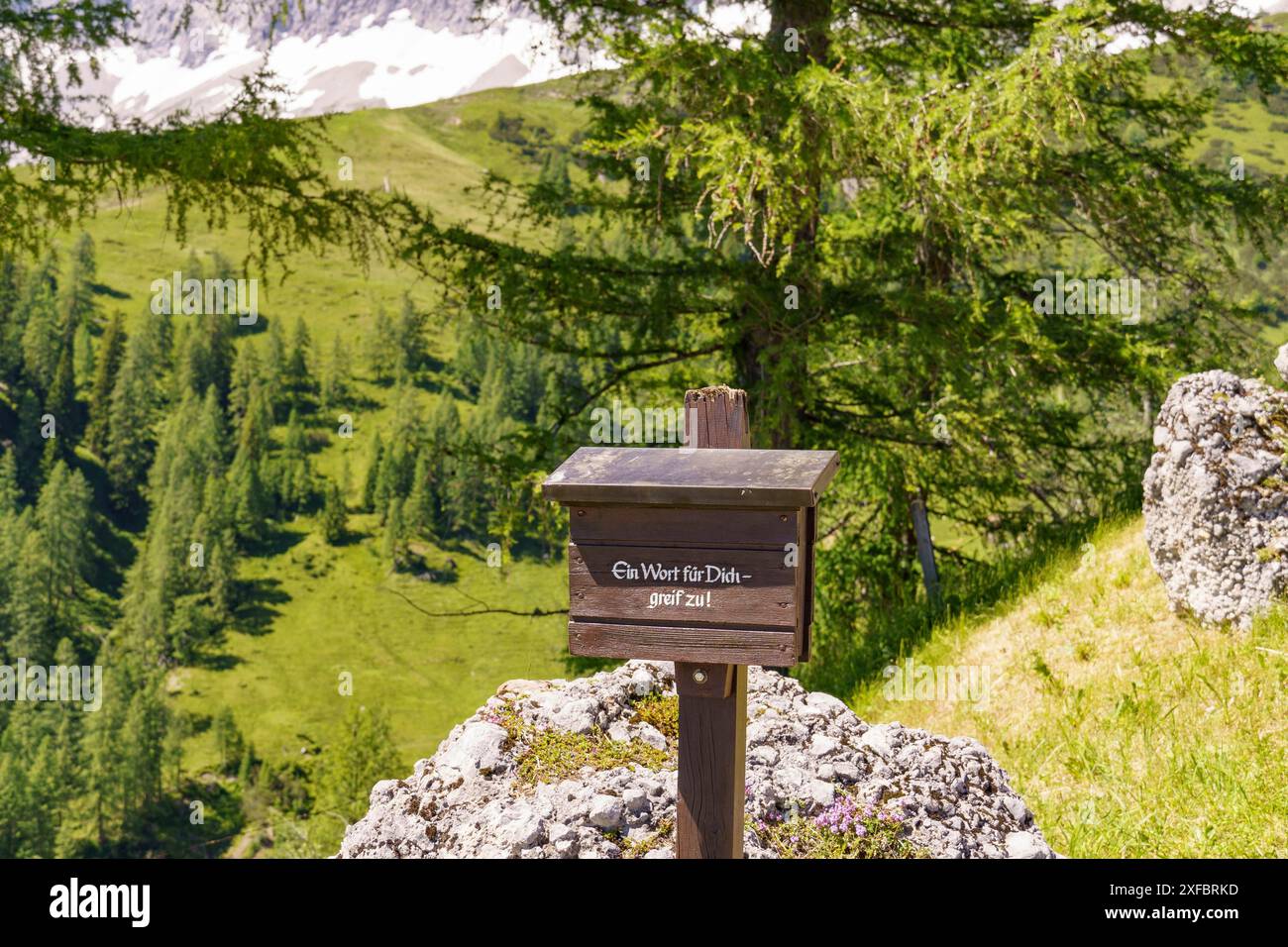 Wooden sign in a green landscape with trees and meadows, gosau, alps ...