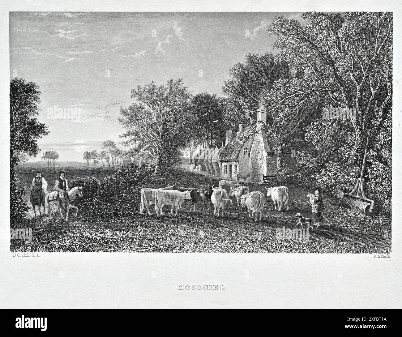 Mossgavel farm hi-res stock photography and images - Alamy