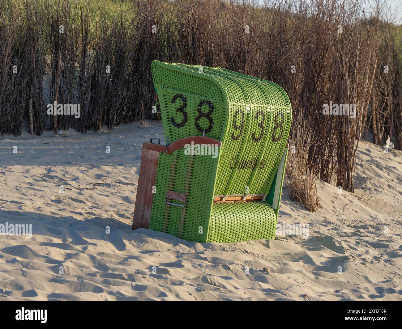 A green beach chair stands on the sandy beach in front of tall grasses ...