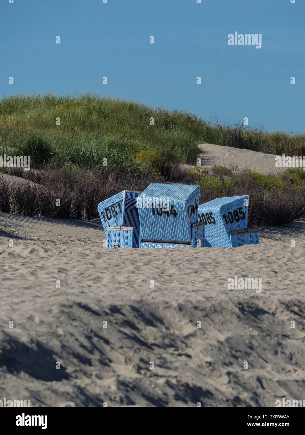 Blue beach chairs stand in front of the green dunes under a clear sky ...