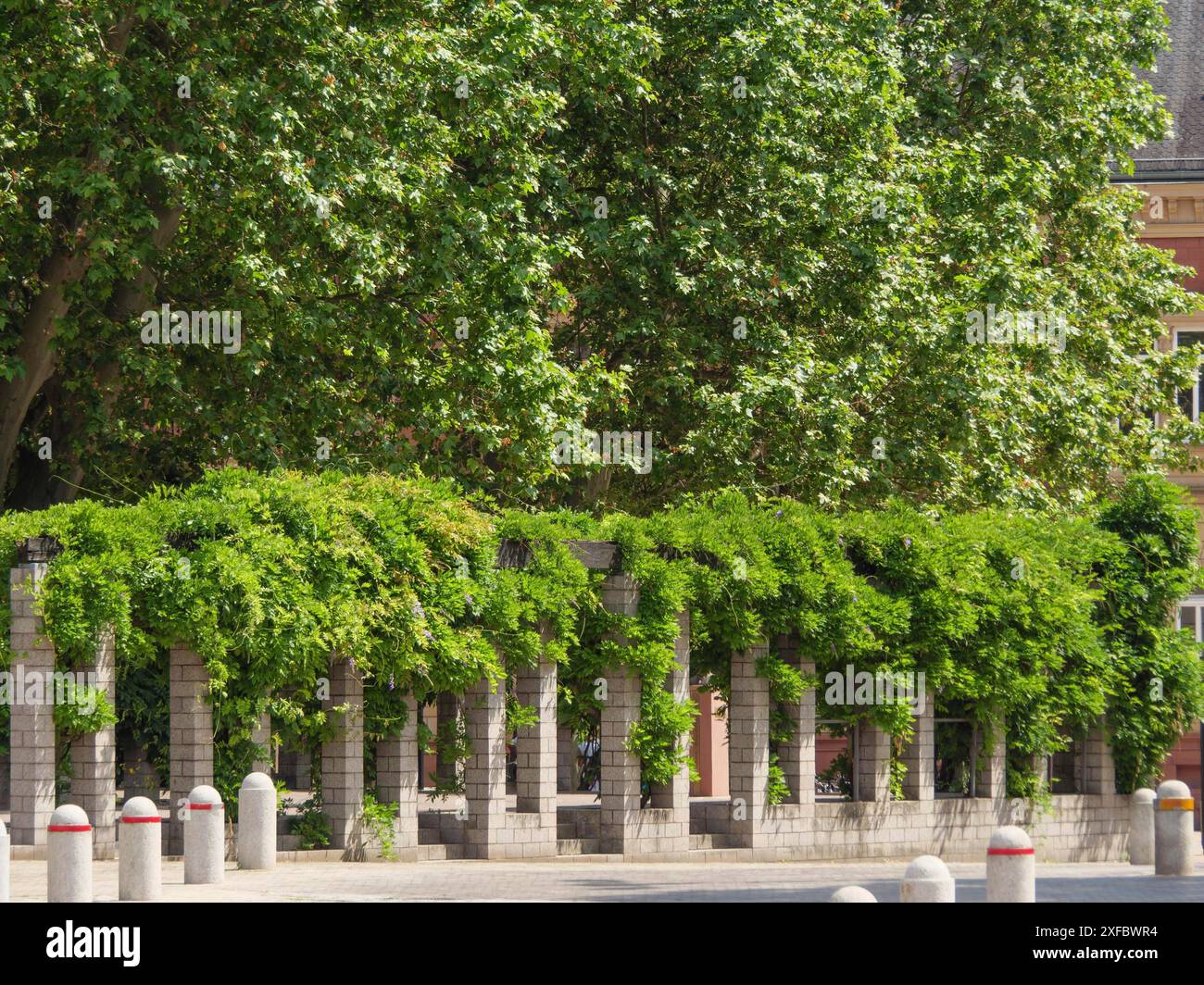 Stone arcade with lush foliage in a natural, green setting in summer ...
