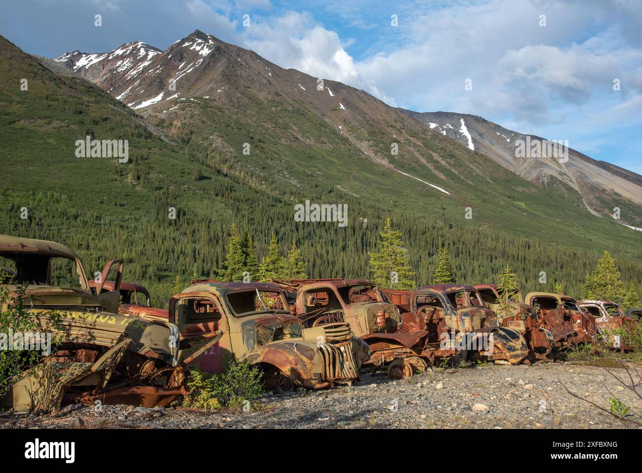 Array of vintage, rusty Ford trucks dumped along the side of the North ...