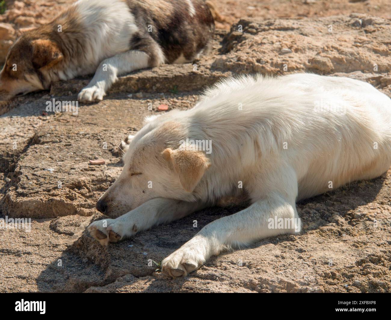 Ground outside hi-res stock photography and images - Alamy