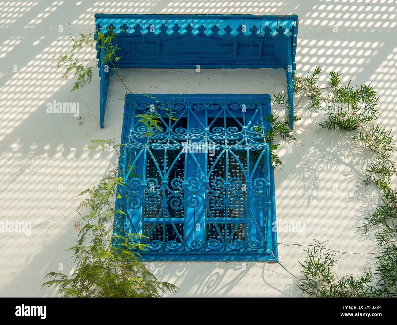 A traditional blue window with lattice and plants in light and shade ...