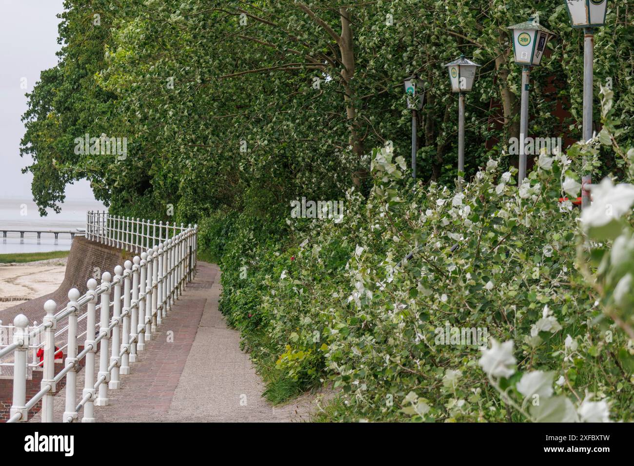 Coastal road with lanterns and green foliage along a railing, dangast ...