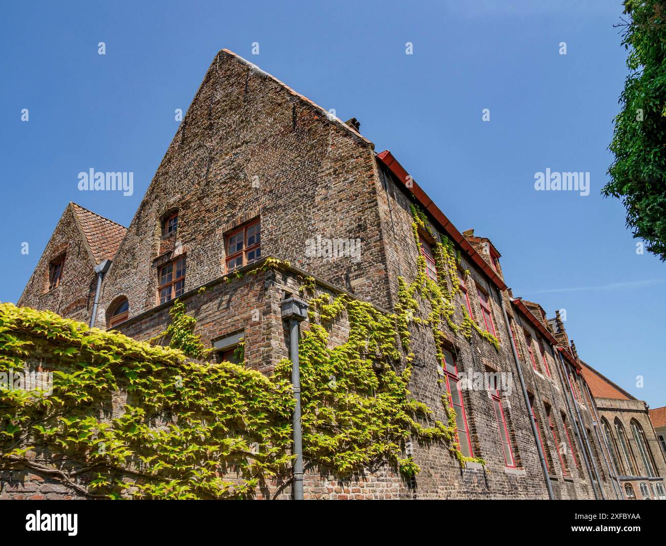Impressive old brick building with many windows and green vegetation ...