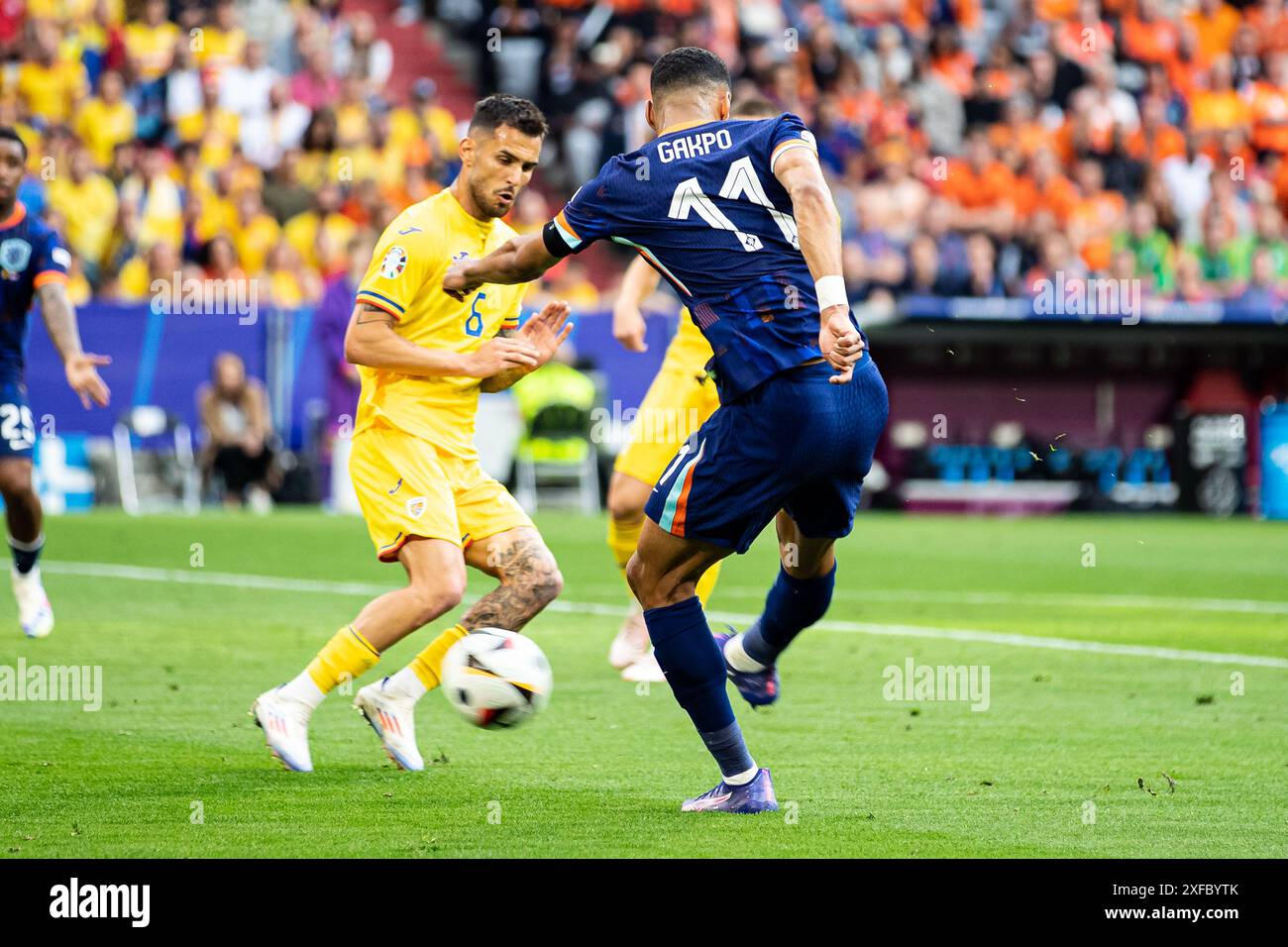 Tor fuer die Niederlande 1:0 durch Cody Gakpo (Niederlande, #11) jubel ...