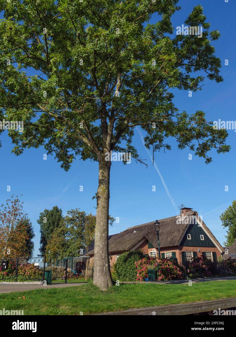 Tall thatched building hi-res stock photography and images - Alamy