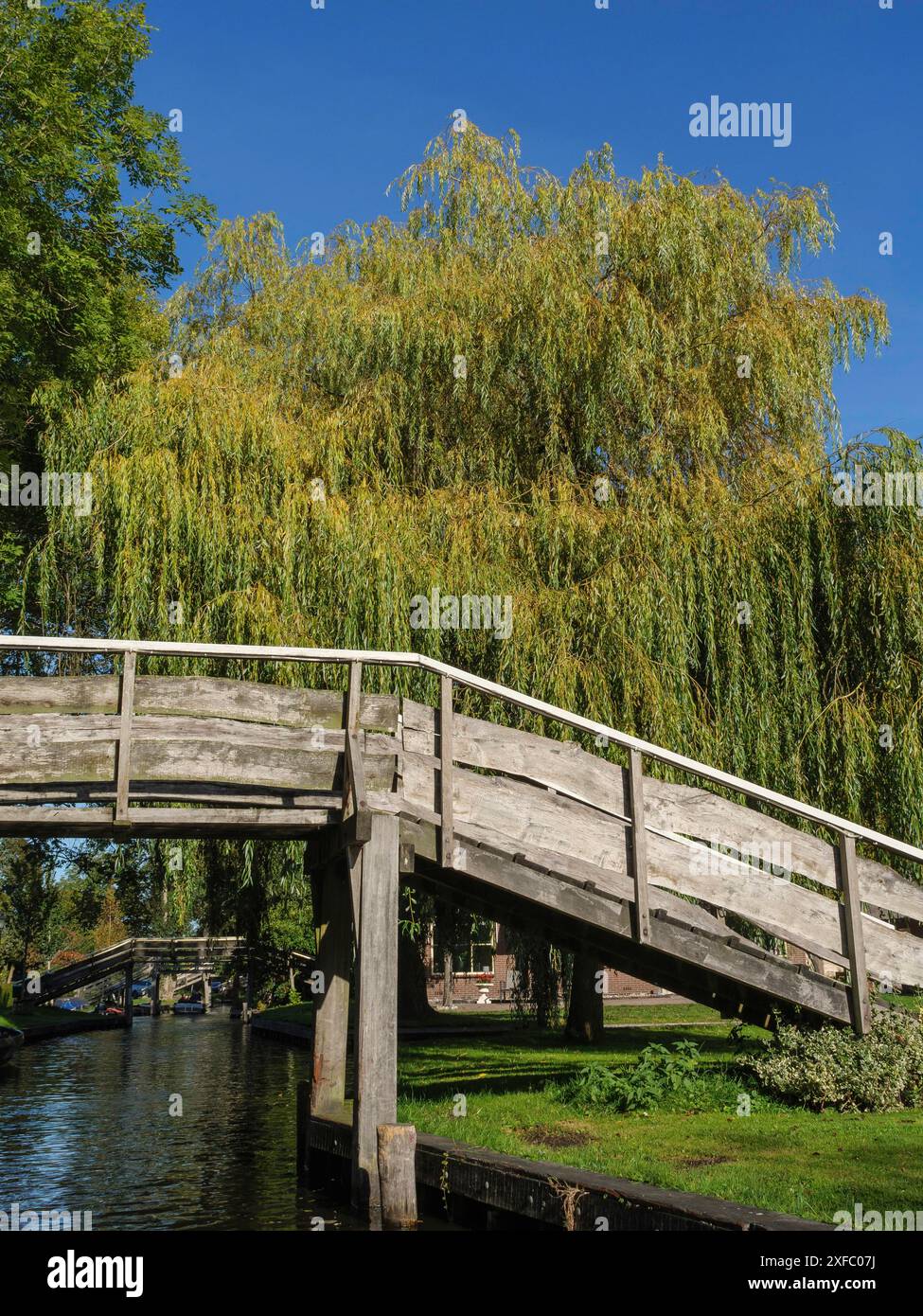 Wooden bridge under willow tree hi-res stock photography and images - Alamy