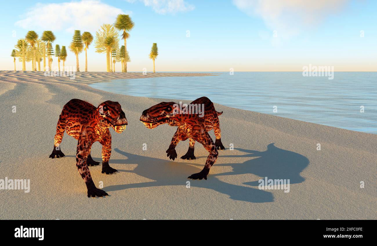 Lycaenops was a carnivorous mammal-like therapsid animal that lived in ...