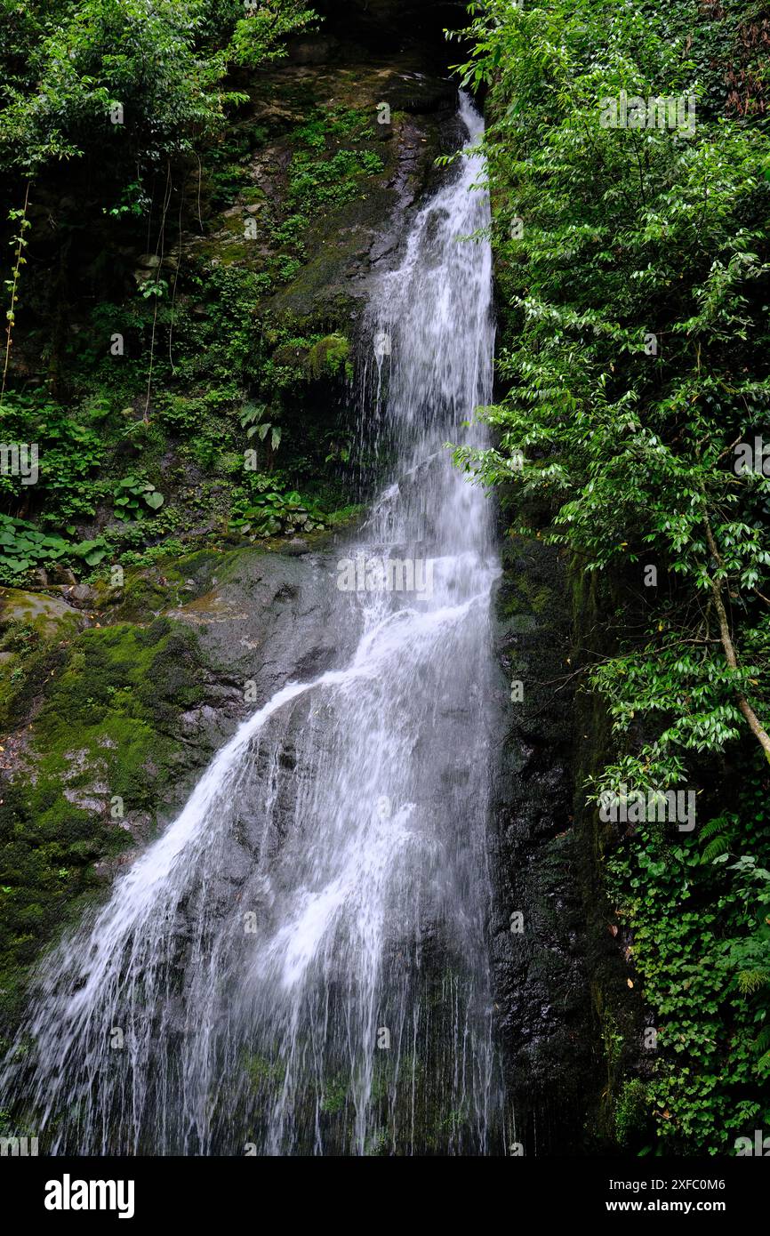 waterfall in the woods. Waterfall in the forest. Beautiful waterfall in ...