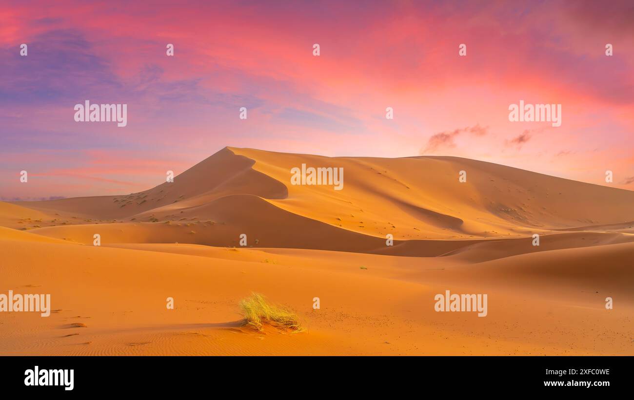 Landscape with golden sand dunes into Sahara desert of Merzouga at ...