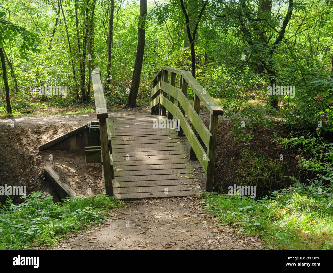 Small wooden bridge in the forest, quiet and green surroundings ...