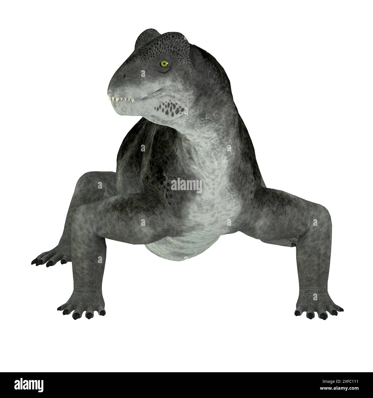 Ulemosaurus is an extinct genus of dinocephalian therapsids that lived ...