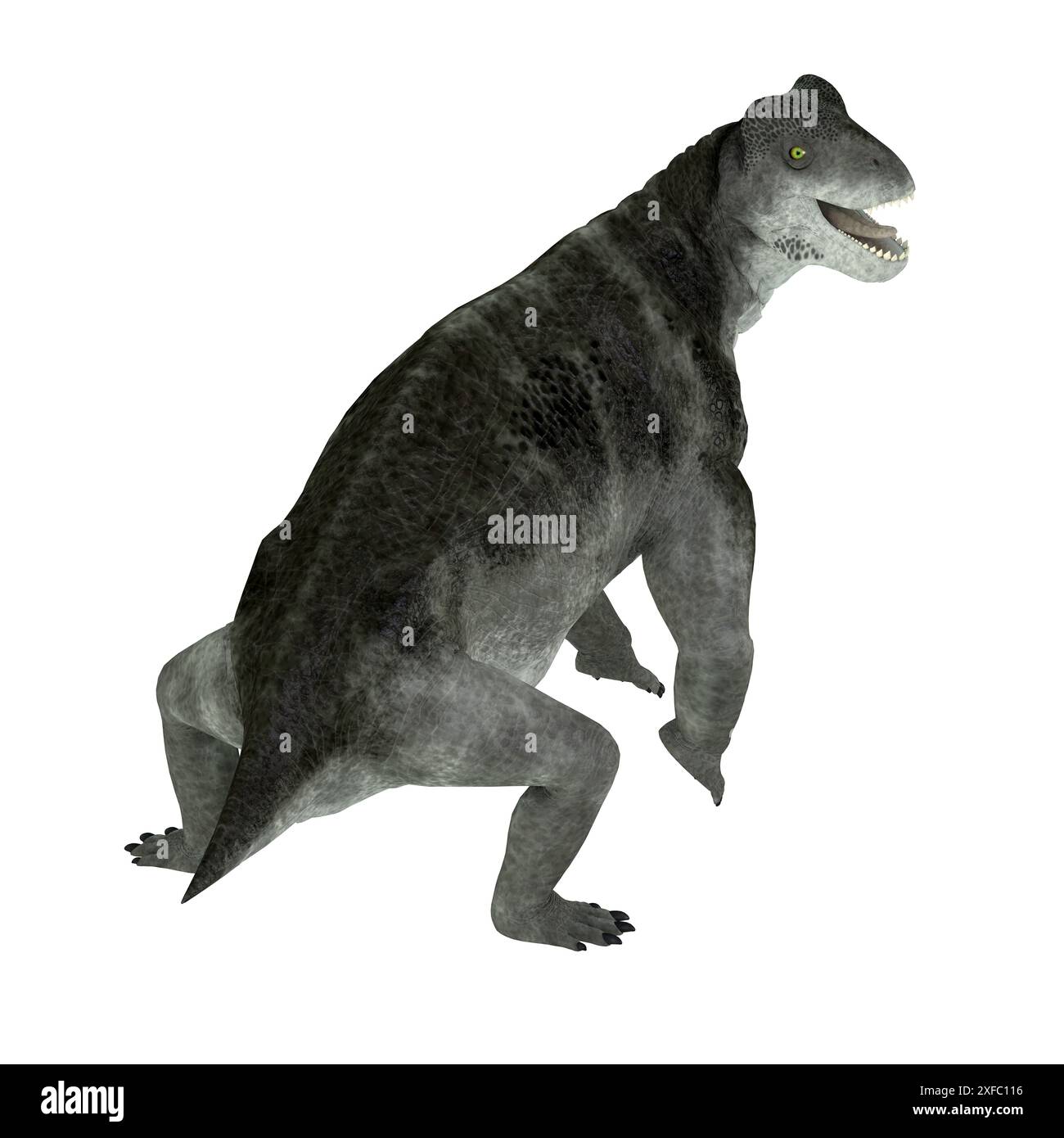 Ulemosaurus is an extinct genus of dinocephalian therapsids that lived ...