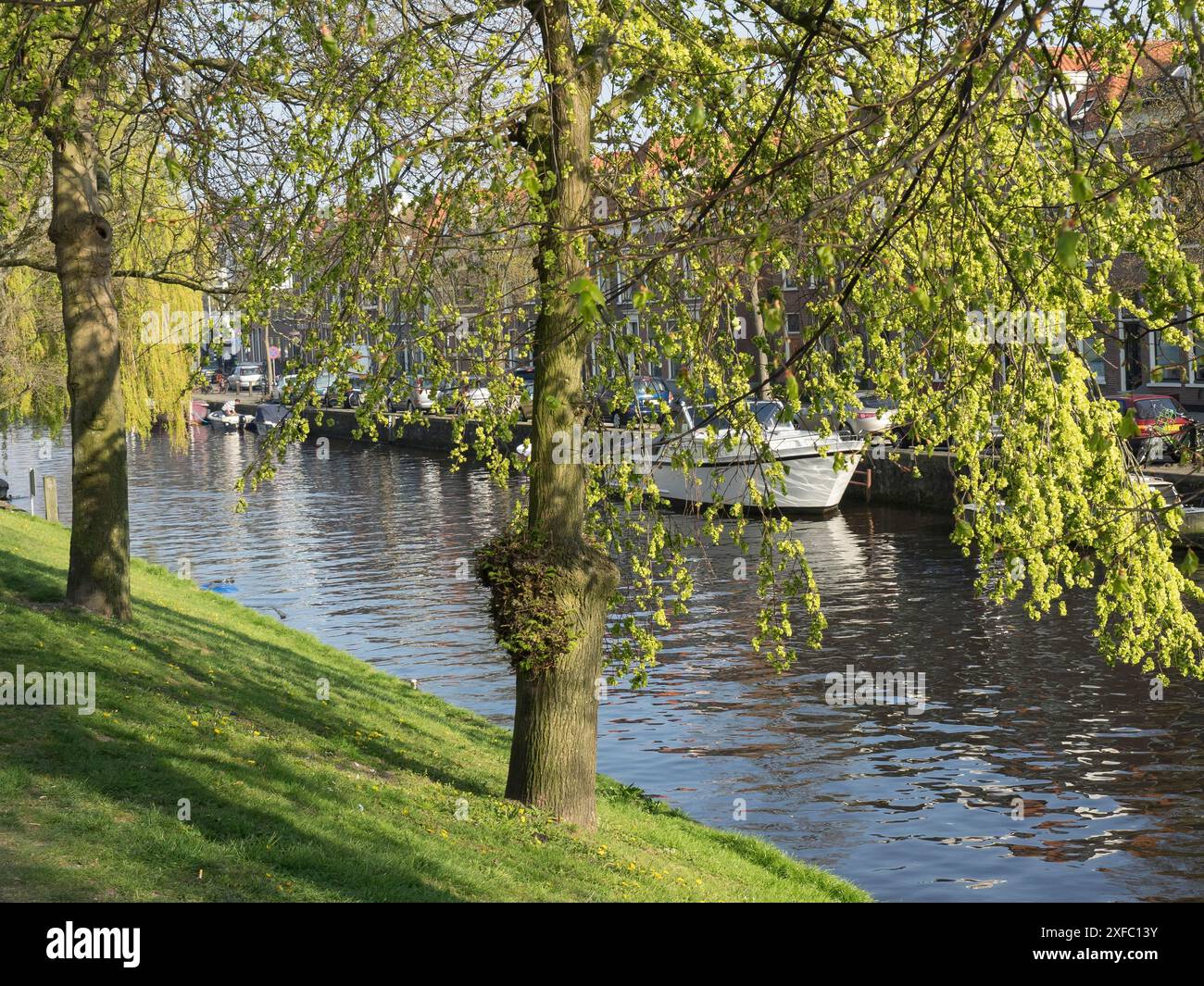Green trees and a boat along a quiet canal in sunny weather Stock Photo ...