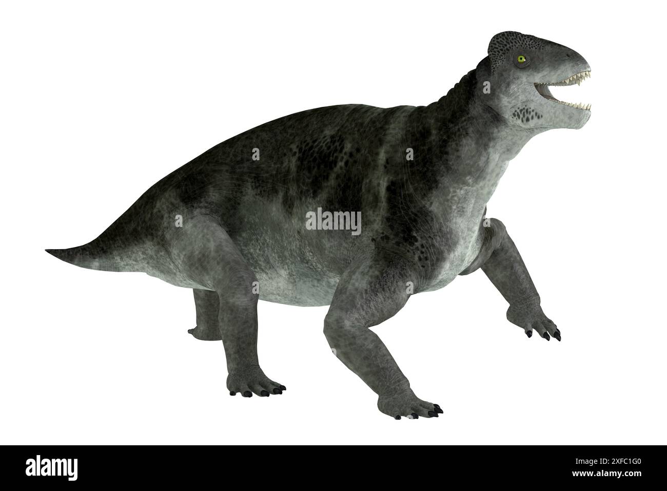 Ulemosaurus is an extinct genus of dinocephalian therapsids that lived ...