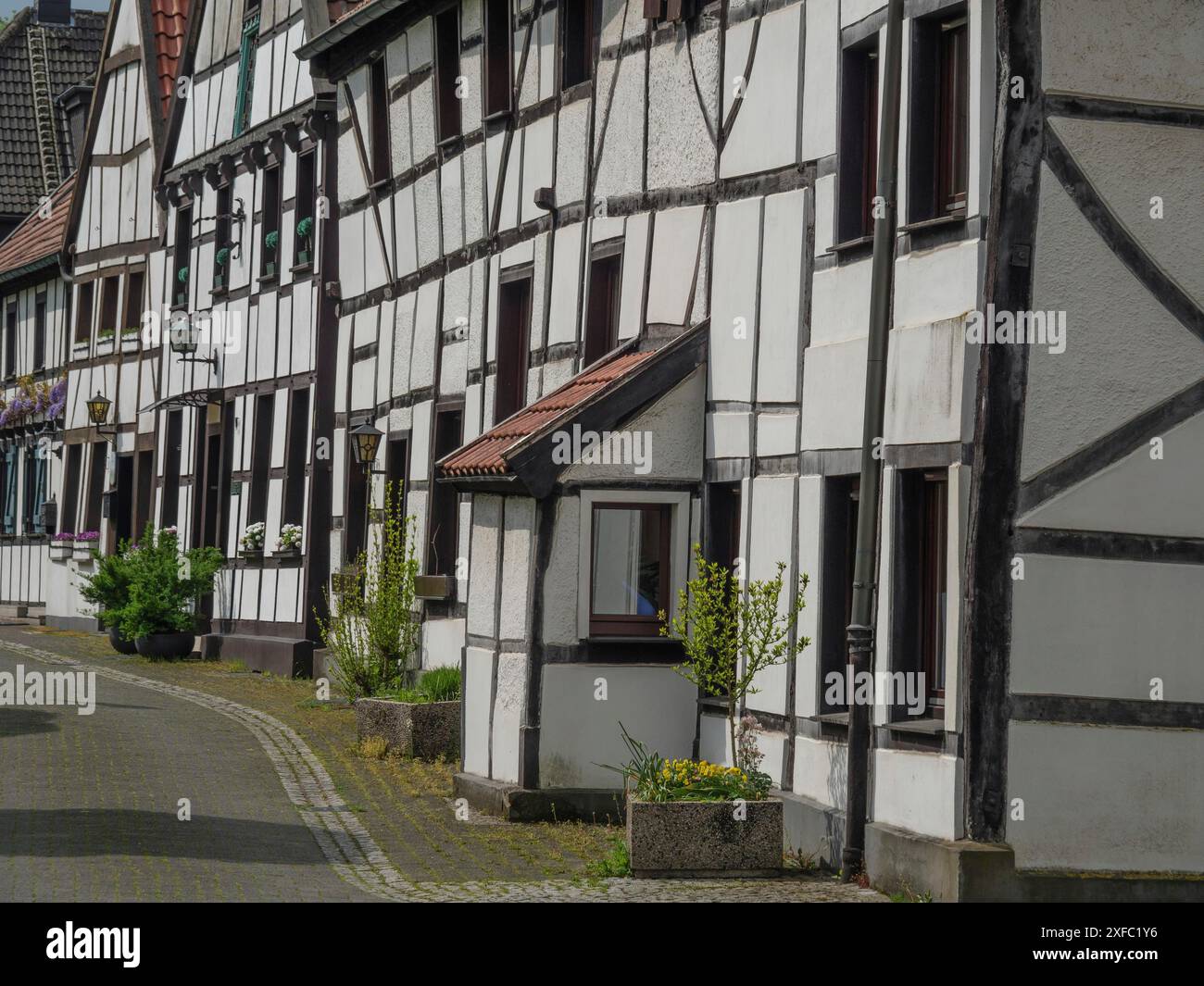 Half-timbered houses along a cobbled village street with many windows ...